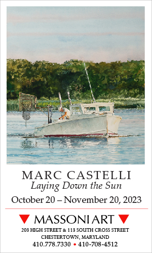 How Durable is America's Constitutional Representative Democracy? By ...